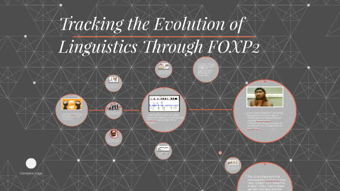 Tracking The Evolution of Linguistics Through FOXP2 by Maria Gottwald ...