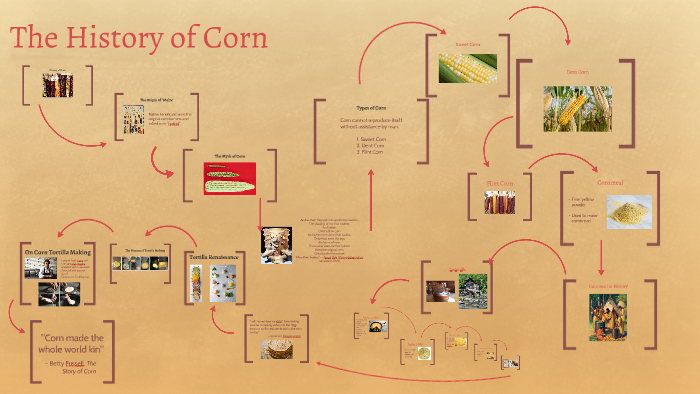 The History of Corn by olivia Areba on Prezi