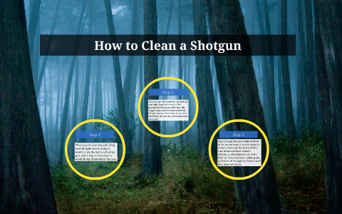 How to Clean a Shotgun by James Balonis on Prezi