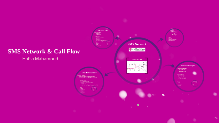 SMS Network & Call Flow by hafsa mahamoud on Prezi