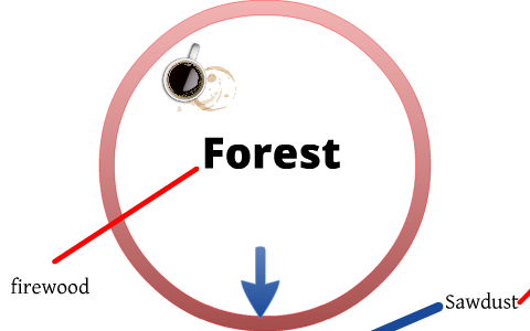 Forestry flow chart! by adam brooking on Prezi