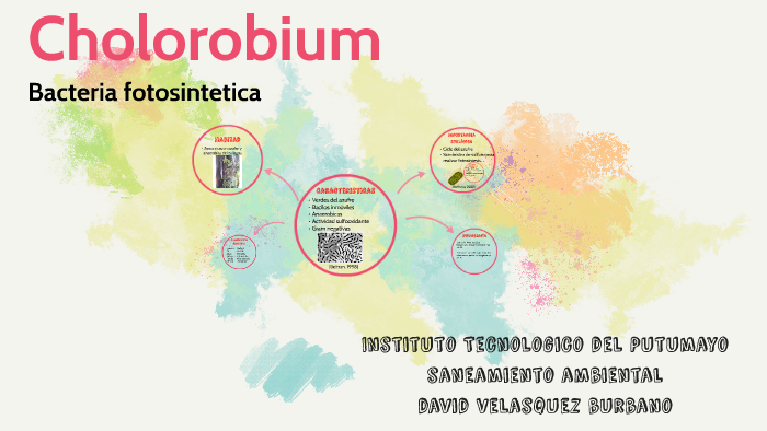 Chlorobium by David Velazquez Brs on Prezi