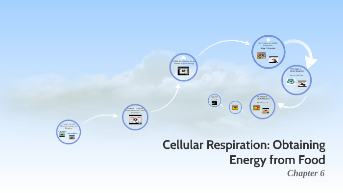 Cellular Respiration: Obtaining Energy from Food by theran hernandez on ...
