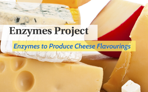 Enzymes Project by Angela Po on Prezi
