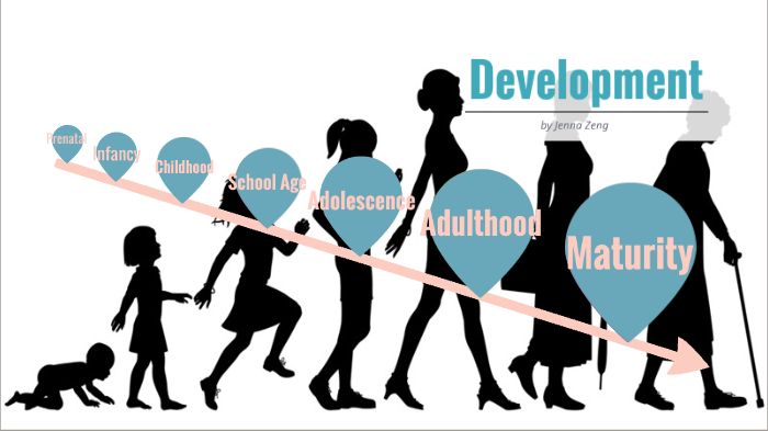 AP Psych Development by Jenna Zeng on Prezi