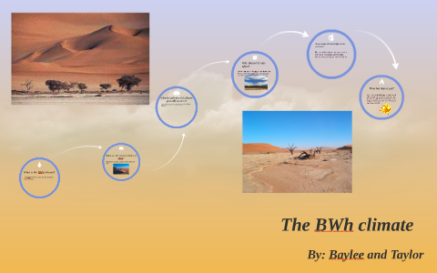 What is the BWh climate? by Taylor Woronecki on Prezi