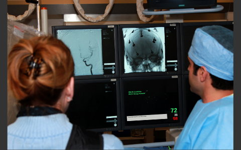 PEER Guideline Tutorial by Kyle Mullen on Prezi