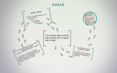 Koren je osovinski vegetativni biljni organ čija je funkcija by uros ...
