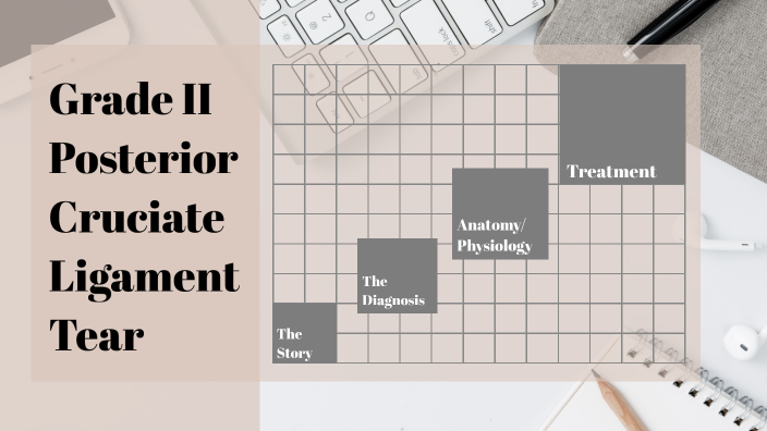 Grade II PCL Tear by Keira Schmidt on Prezi
