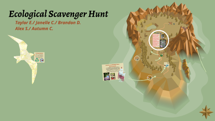 Ecological Scavenger Hunt by Janelle Calder on Prezi