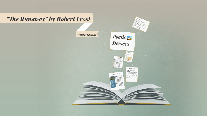 Poetic Devices by Marissa T on Prezi