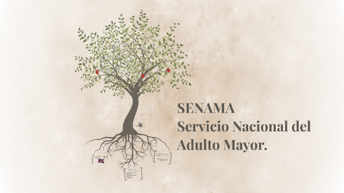 Servicio Nacional del Adulto Mayor, SENAMA by Marianela Cáceres on Prezi