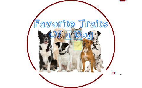 Dog Breeds by Trevor Mann on Prezi