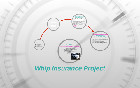 Car Insurance Project by Erin Drees