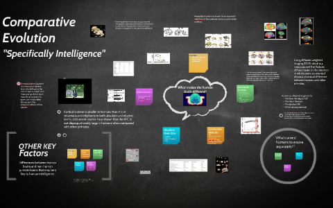 EVOLUTION OF THE BRAIN AND INTELLIGENCE by Thomas Schwab on Prezi