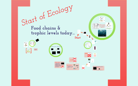 Biology - Food Chains & Trophic Levels by Mark Davis on Prezi
