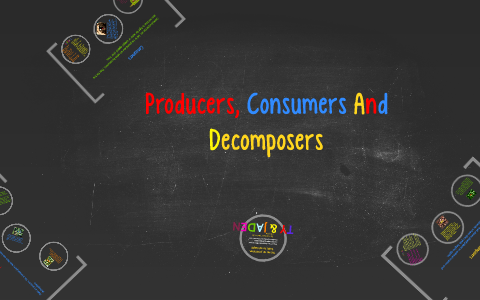 producers, consumers and decomposers by Jaden Mailman on Prezi