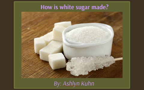 How is white sugar is made? by Ashlyn Kuhn on Prezi