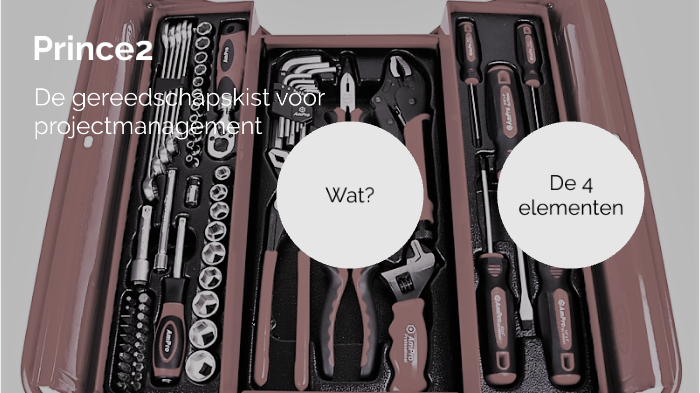 Prince2 by Myrthe Dortants on Prezi