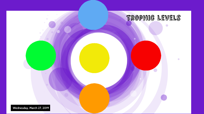 Food Chain: by Asia Patterson by Asia Patterson on Prezi