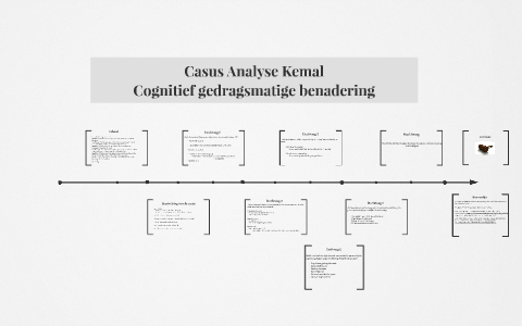 Casus Analyse Kemal by Merle Hendriks on Prezi