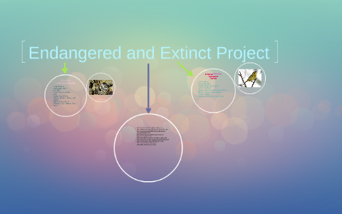 Endangered and Extinct Project by Cara O'Mahoney on Prezi