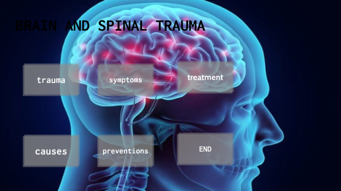 BRAIN AND SPINAL TRAUMA by cristina pullupaxi on Prezi