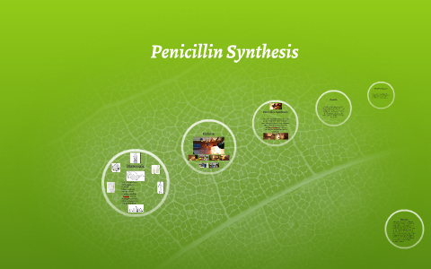 Penicillin Synthesis By Healthcare Facilities by Jason 1 on Prezi