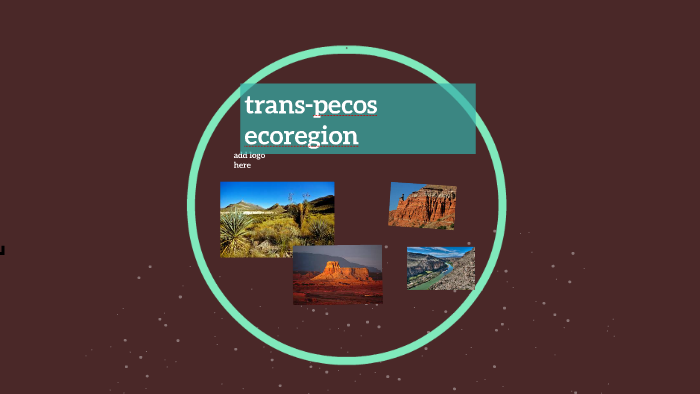 trans-pecos ecoregion by morgan palmer on Prezi