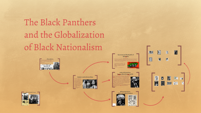 The Black Panthers and the Globalization of Black Nationalis by Kevin ...