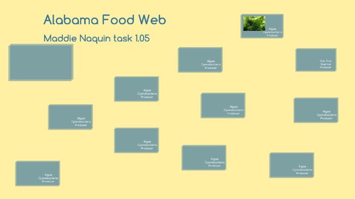 Environmental Science Alabama Food Web by Maddie Naquin on Prezi