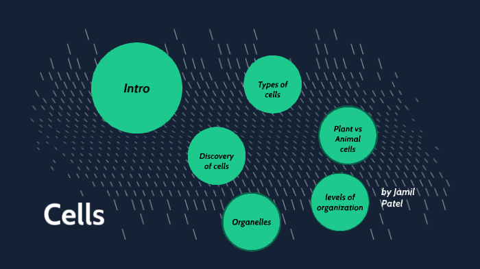 Cells by Jamil Patel on Prezi