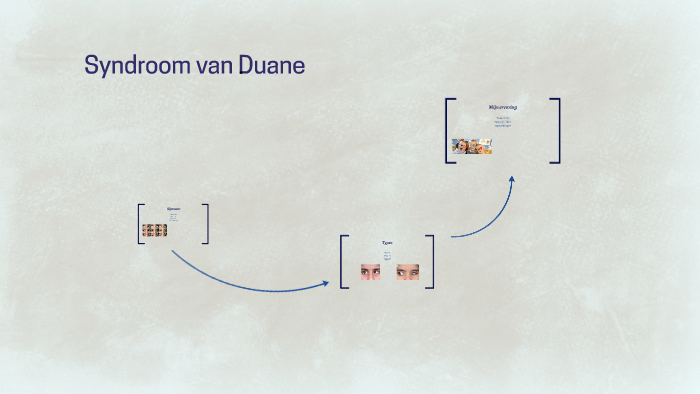 Syndroom van Duane by Famke Dortants on Prezi