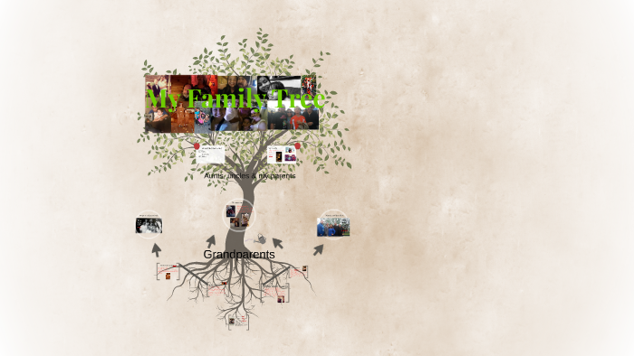 My Family Tree by jacquline tapia on Prezi
