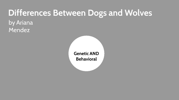 Behavioral and Genetic Differences Between Wolves and Dogs by Ariana ...