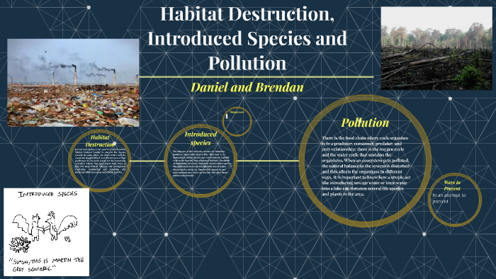 Habitat Destruction, Introduced Species and Pollution by Brendan Devlin ...