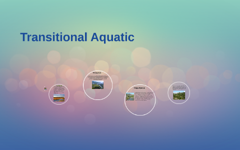 Transitional Aquatic by sherlayla wilson on Prezi