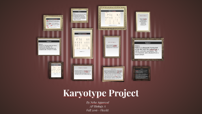 Karyotype Project by Neha Aggarwal on Prezi