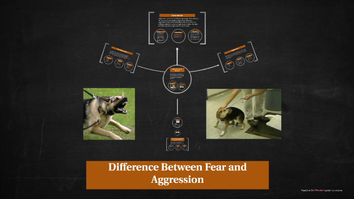 Difference Between Fear and Aggression by Carrie Faber on Prezi