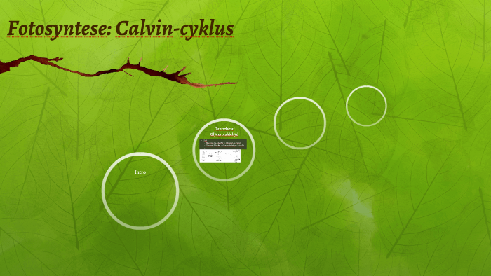 Fotosyntese: Calvin-cyklus by Nils Marcussen
