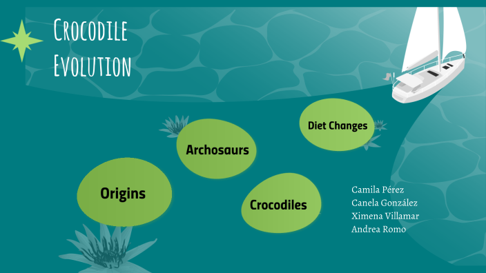 Crocodile Evolution by Ximena Villamar on Prezi