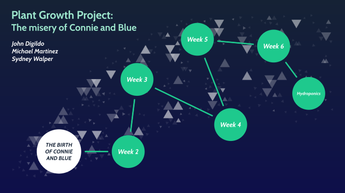 Plant Growth Project by Michael Martinez on Prezi