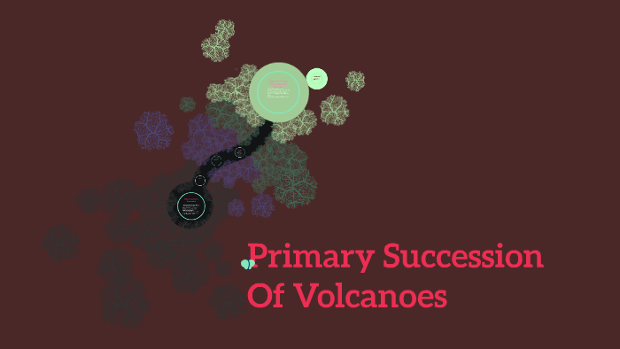Primary Succession Of Volcanoes by shakira bullock on Prezi