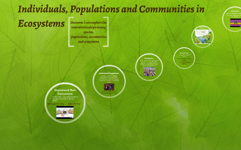 Individuals, Populations and Communities in Ecosystems by Heidi Sandboe ...