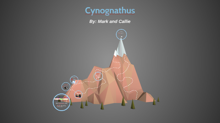 Cynognathus by callie cannon on Prezi