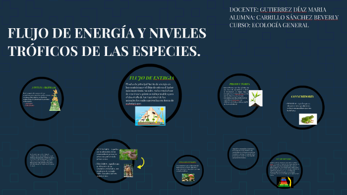 FLUJO DE ENERGÍA Y NIVELES TRÓFICOS DE LAS ESPECIES. by Beverly ...