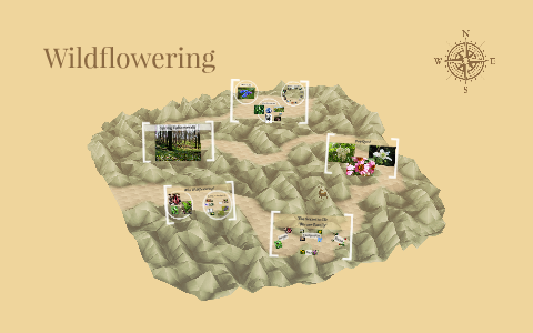 Wildflowering by Bill Michalek on Prezi