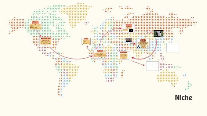 Niche by Matt Swajkowski on Prezi