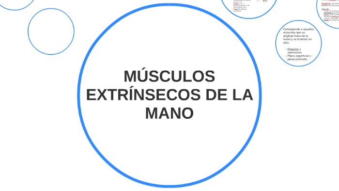 MÚSCULOS EXTRÍNSECOS DE LA MANO by mariana cerda on Prezi