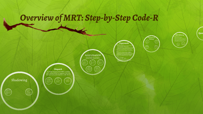 Basics of MRT and Step-by-Step Code R by Rape Recovery Center on Prezi